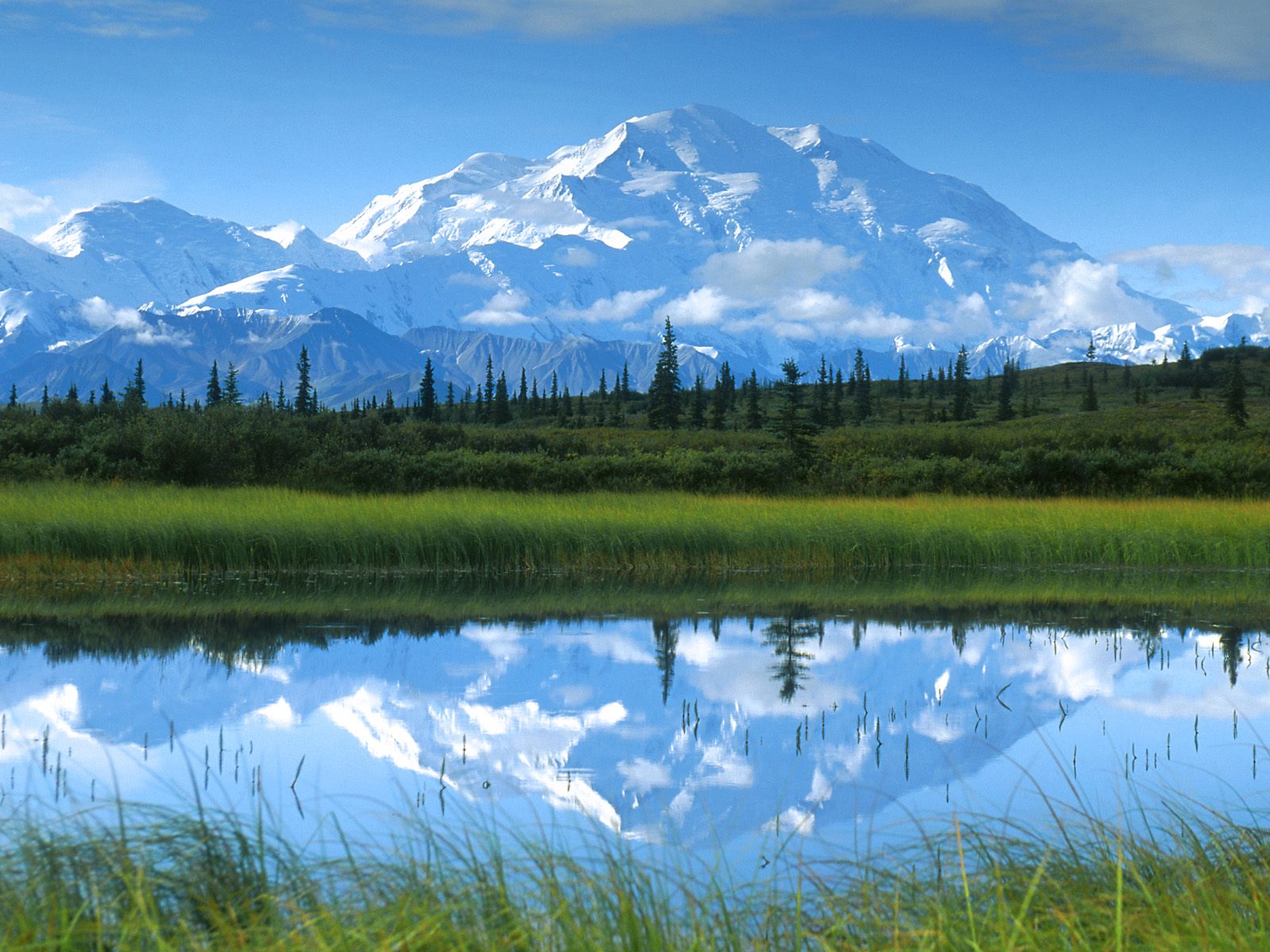 Reflections Mount McKinley Denali National Park Alaska Postcard